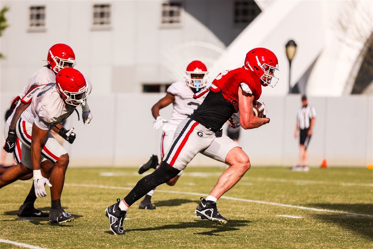 Georgia tight ends Oscar Delp, Pearce Spurlin step up after Lawson ...