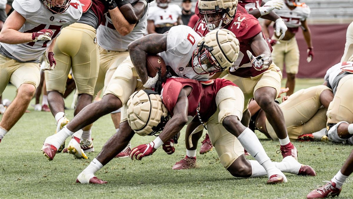 Photo Gallery: FSU spring practices continue