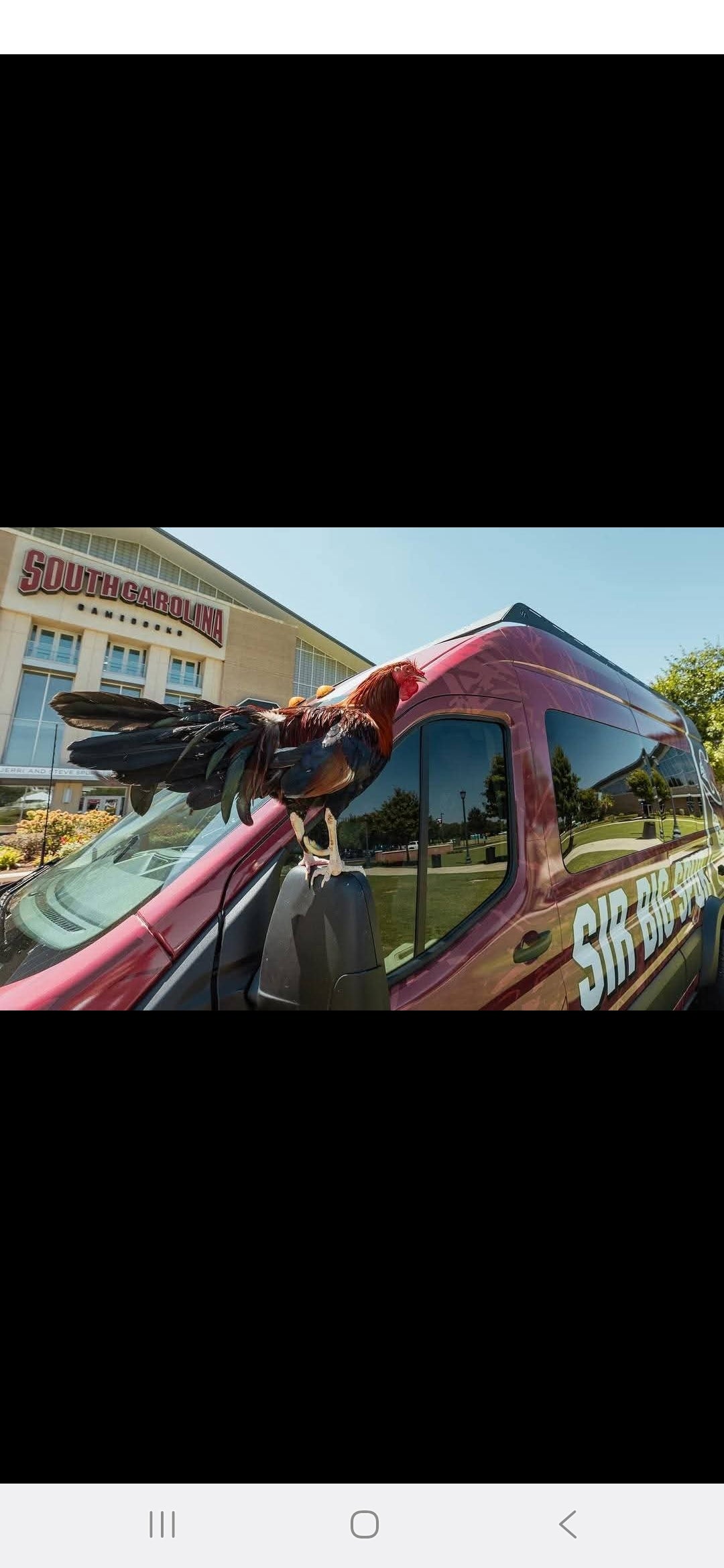 Oh my! Sir Big Spur has a new ride!
