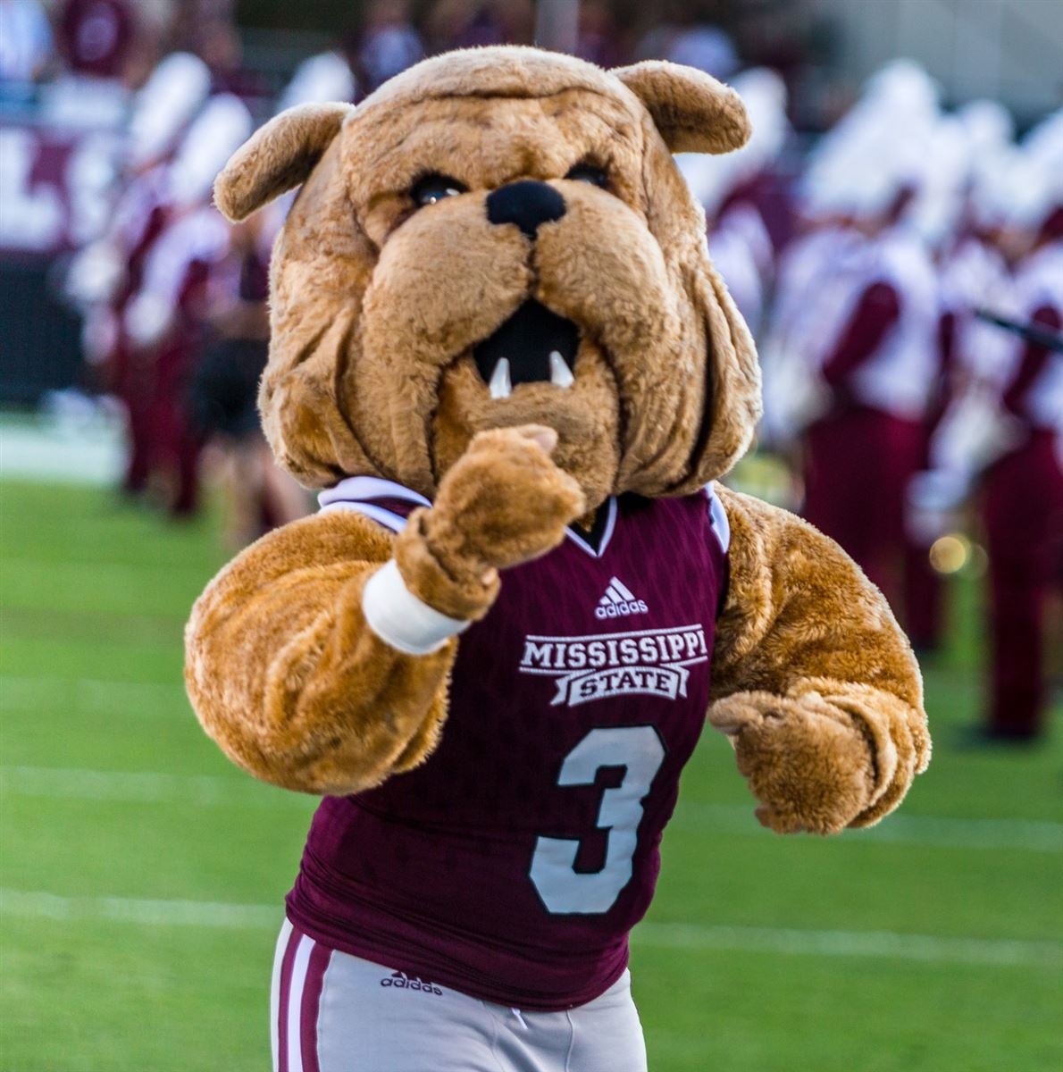 Part 2: Mississippi State-LSU Photo Gallery