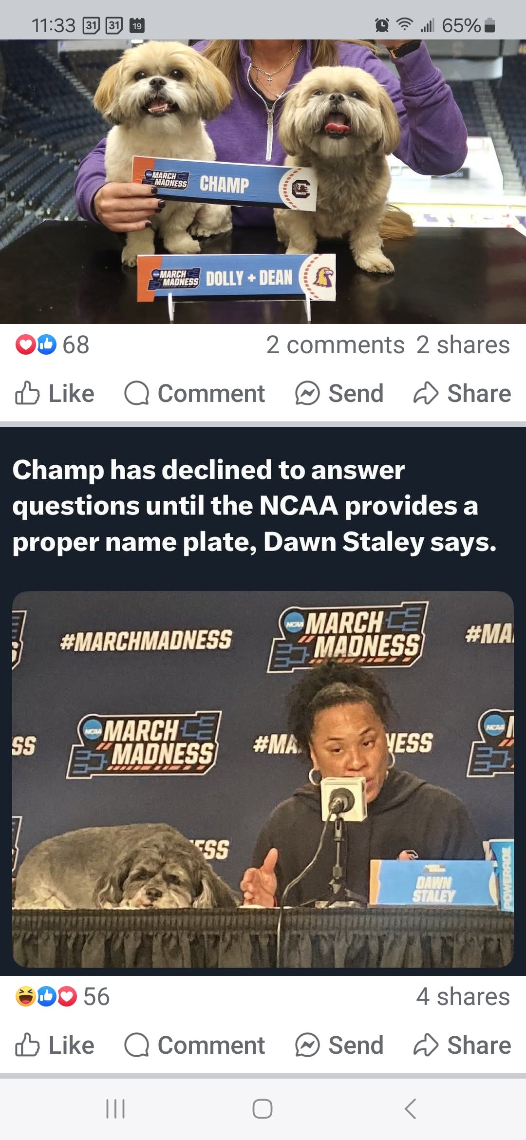 Staley's pup Champ getting star treatment