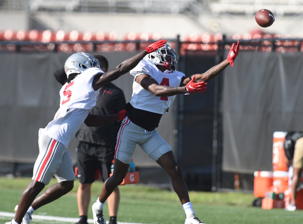 A look at the Ohio State roster and recruiting by the numbers - defense