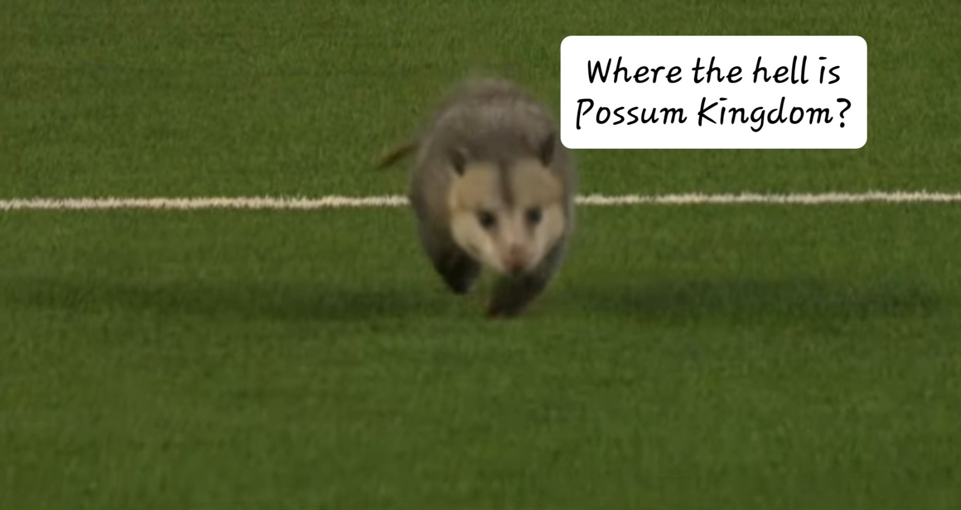 Playing Possum