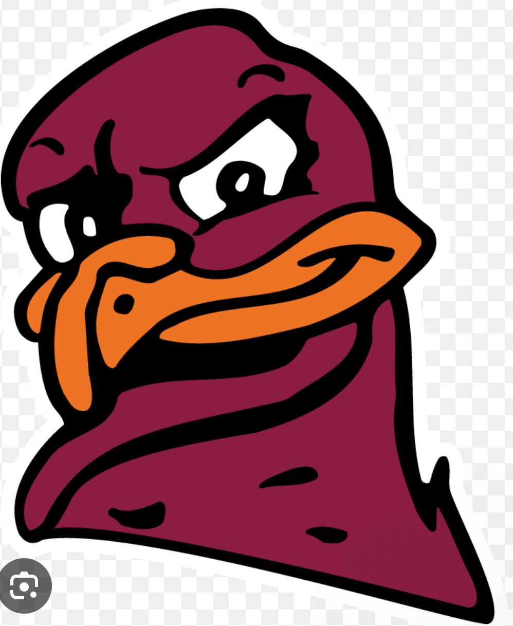 FIGHTING GOBBLER HELMET CONFIRMED 2025