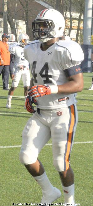 Anthony Swain Profile Photos