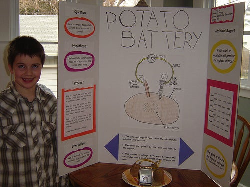 Potato Battery Science Fair Project