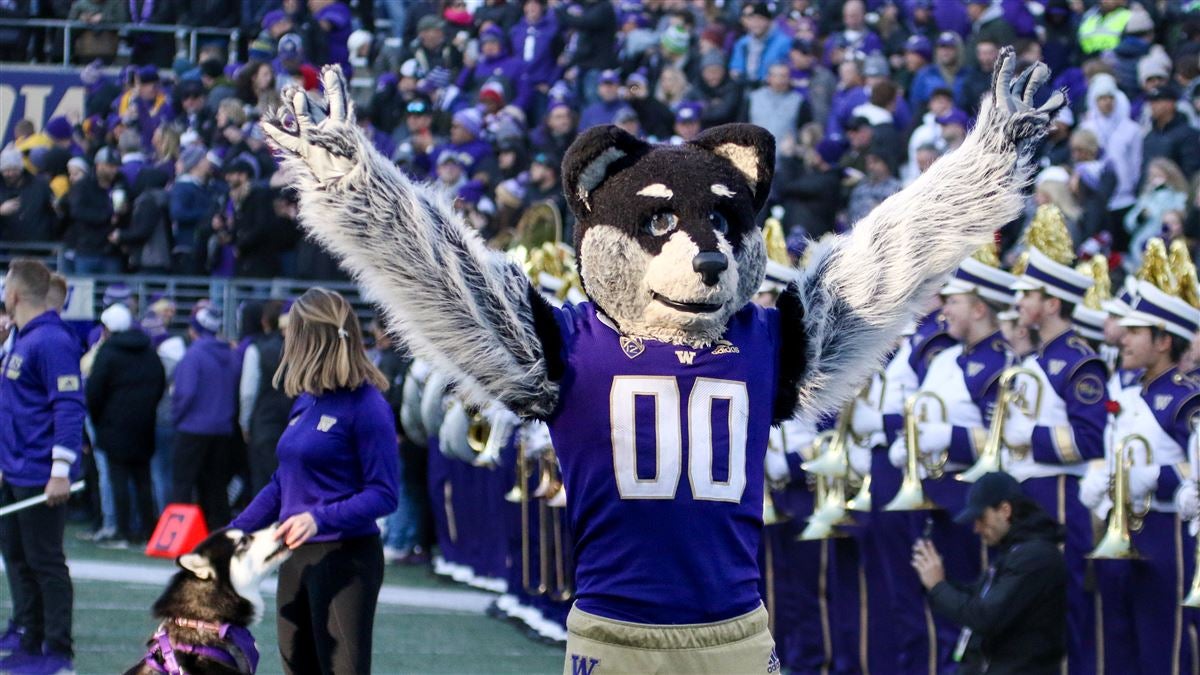 ASK DAWGMAN: The BYE Week Mailbag Edition