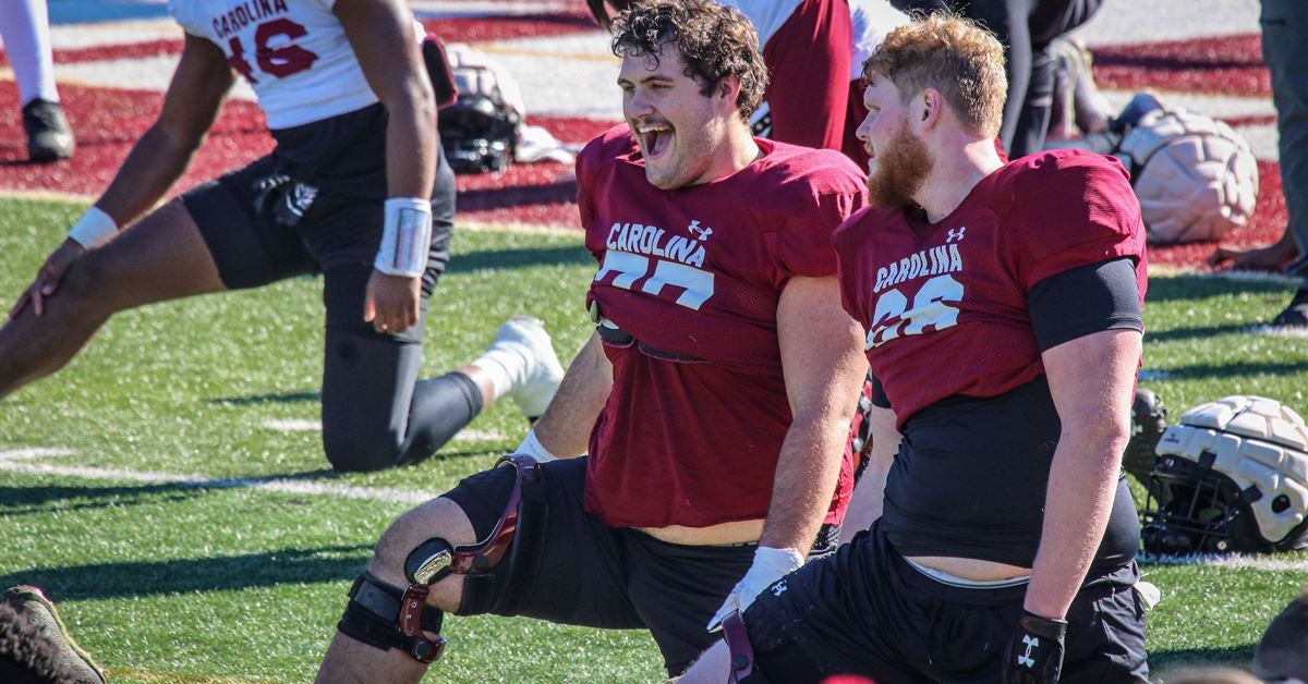 GSU Football Lands South Carolina Transfer Offensive Lineman Colin Henrich