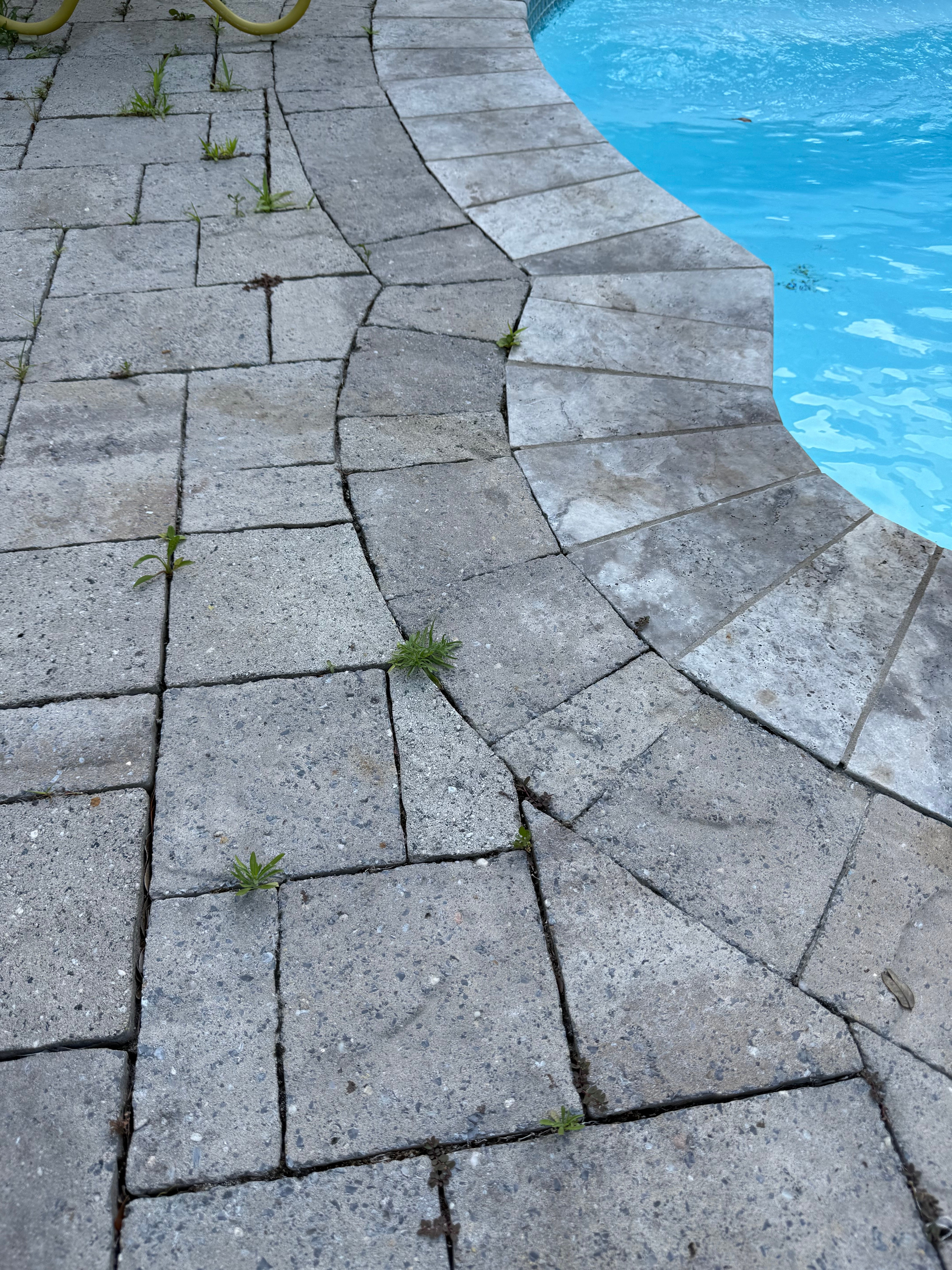 OT dealing with weeds in paver stone cracks