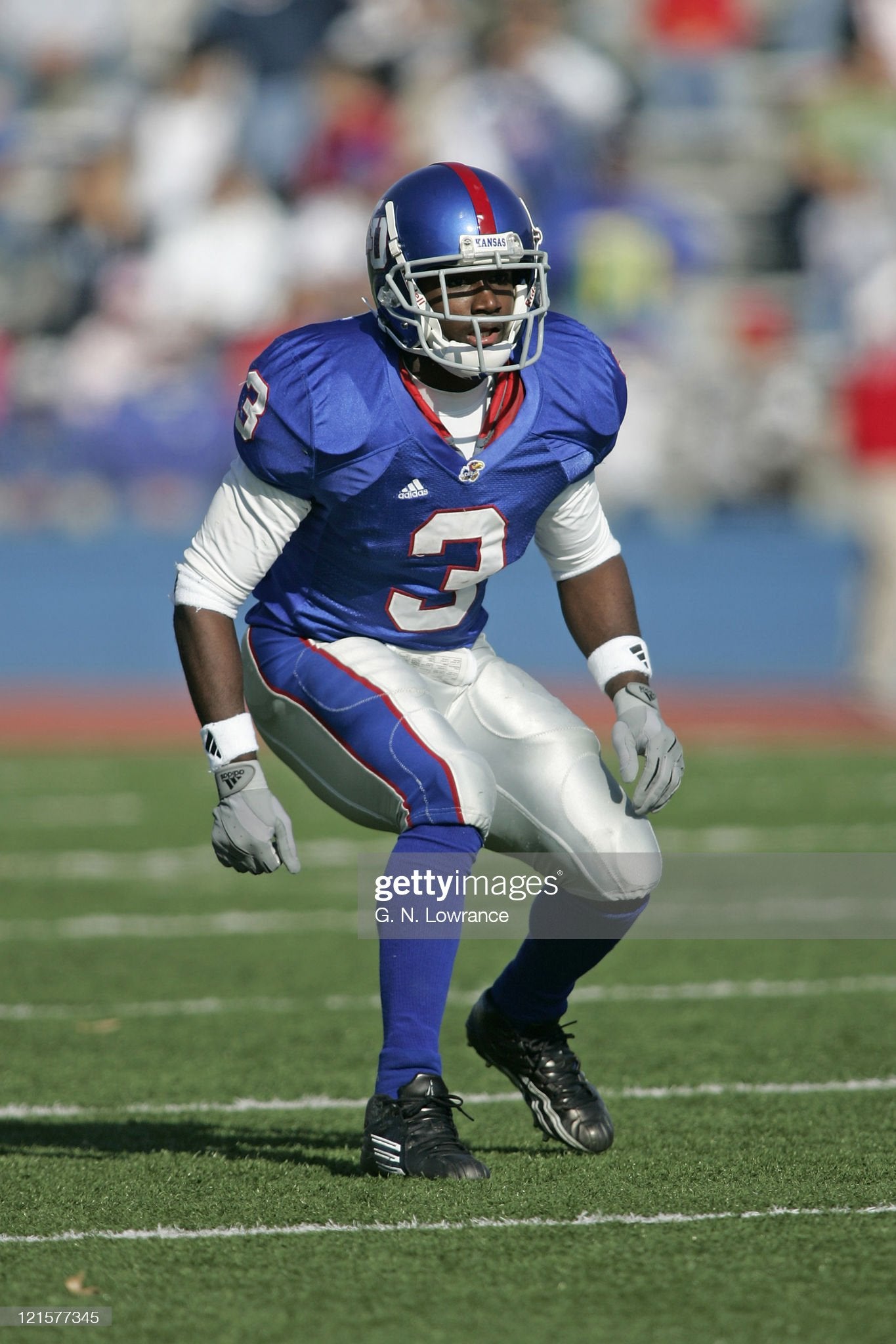 Things less ferocious than Lonnie Phelps.