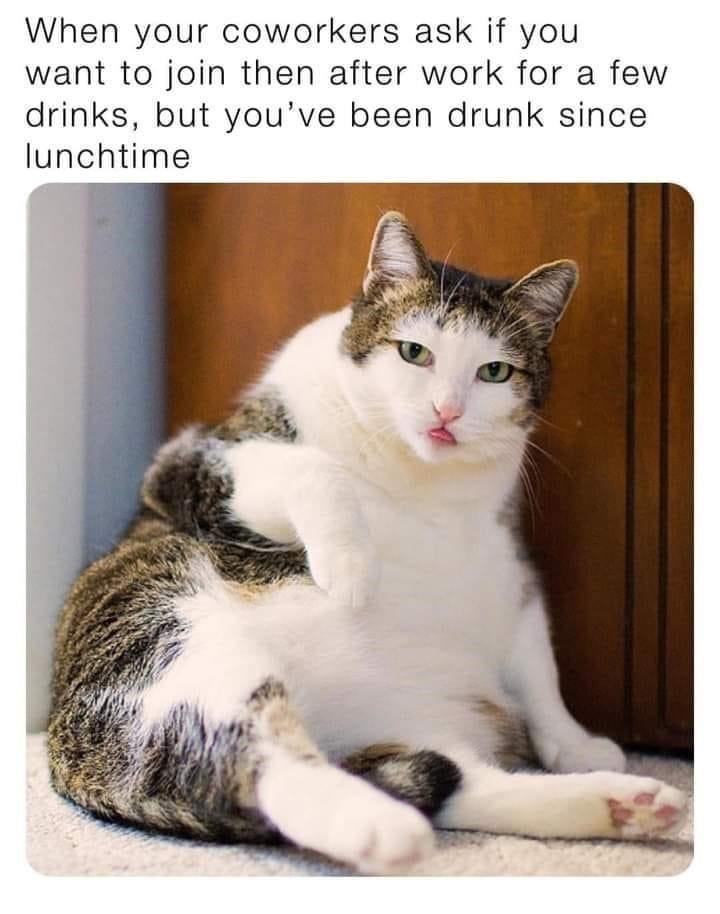 Self Isolation/Social Distancing humor thread