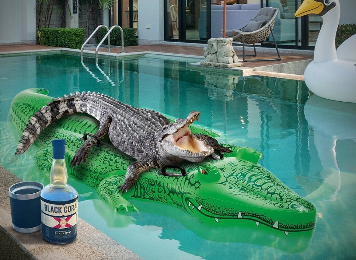 Gator legacy CJ Ingram pledges to Florida basketball