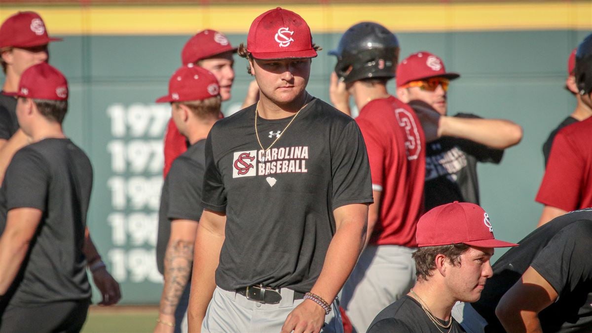 Baseball newcomer profile: Austin Williamson