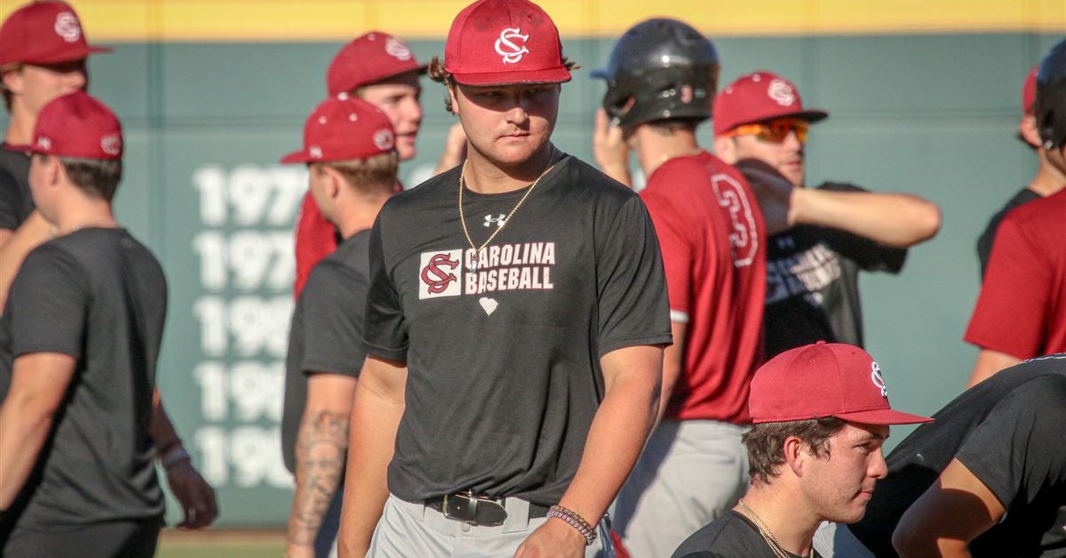 Baseball newcomer profile: Austin Williamson