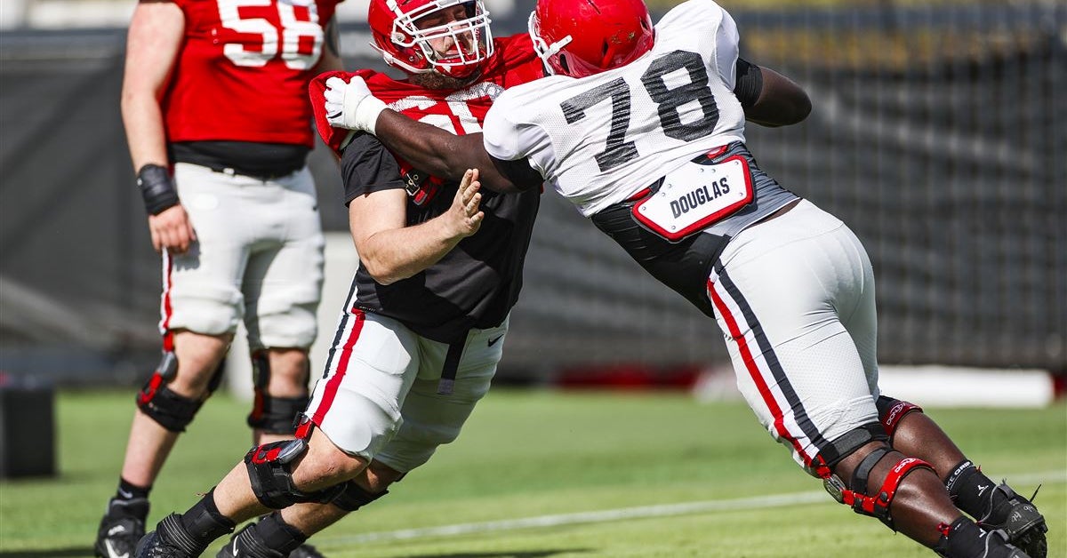Georgia football: Former offensive lineman Clay Webb finds new home at ...