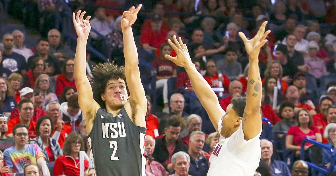 We asked Don MacLean and 2 NBA scouts if Elleby ready for NBA