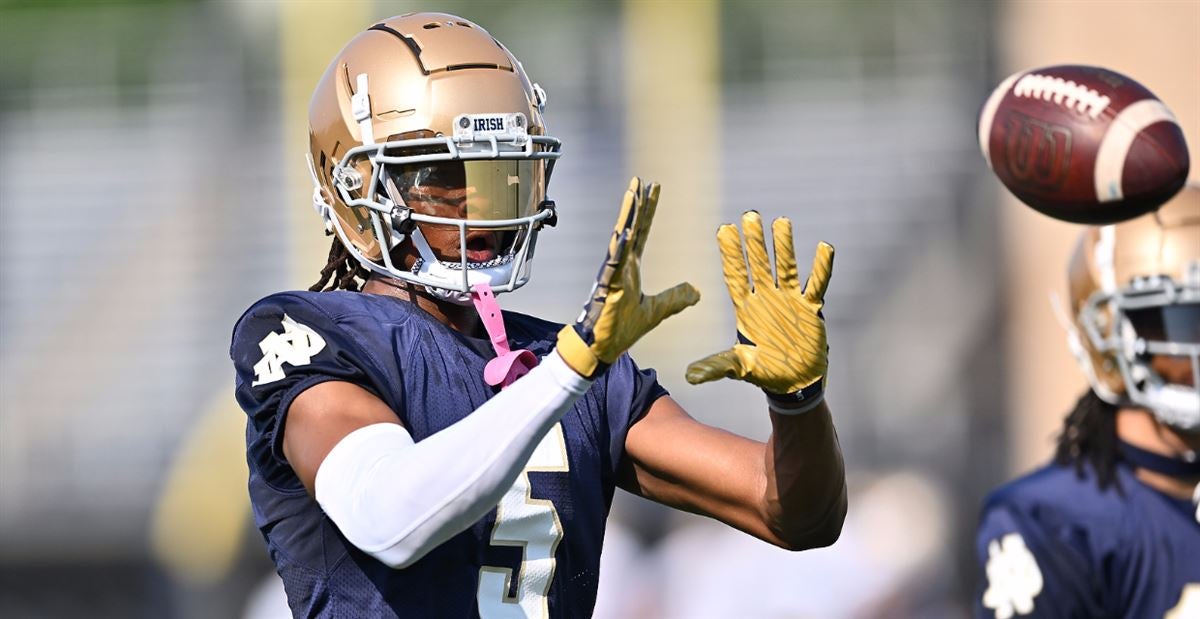 Irish Prepared To Live With Talented Merriweather’s Growing Pains