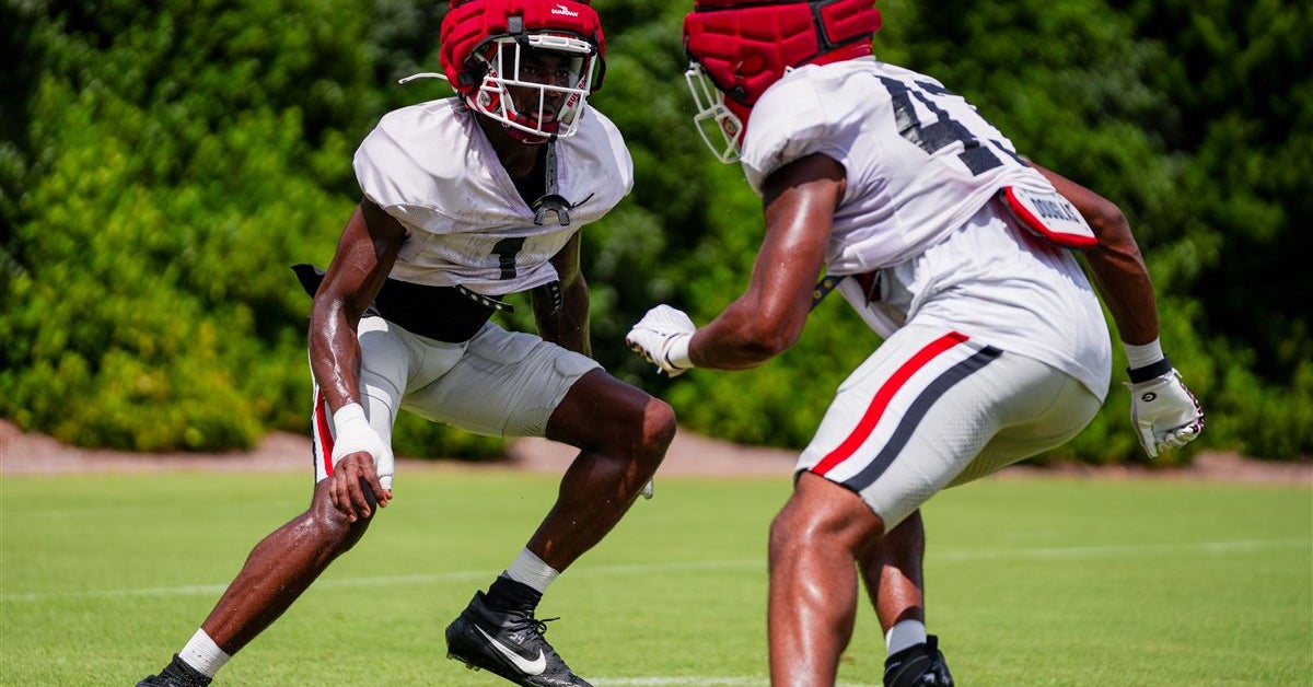 Georgia football CB Ellis Robinson named to 247Sports' Freshman All ...
