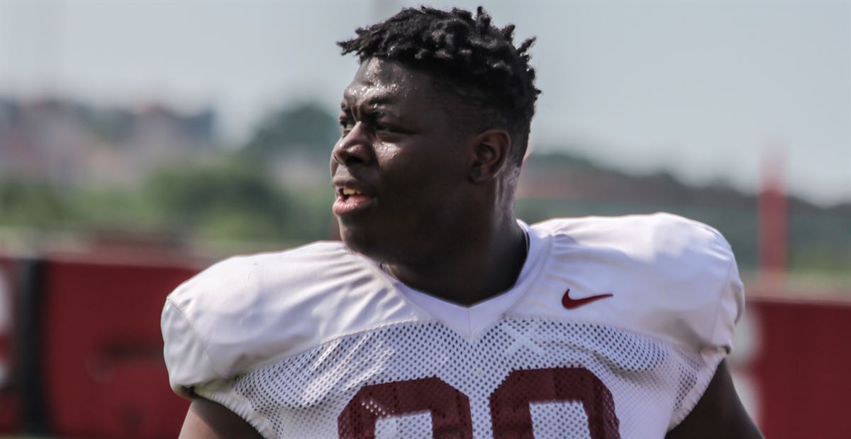 Arkansas Razorbacks Top 10 Second-Year Players