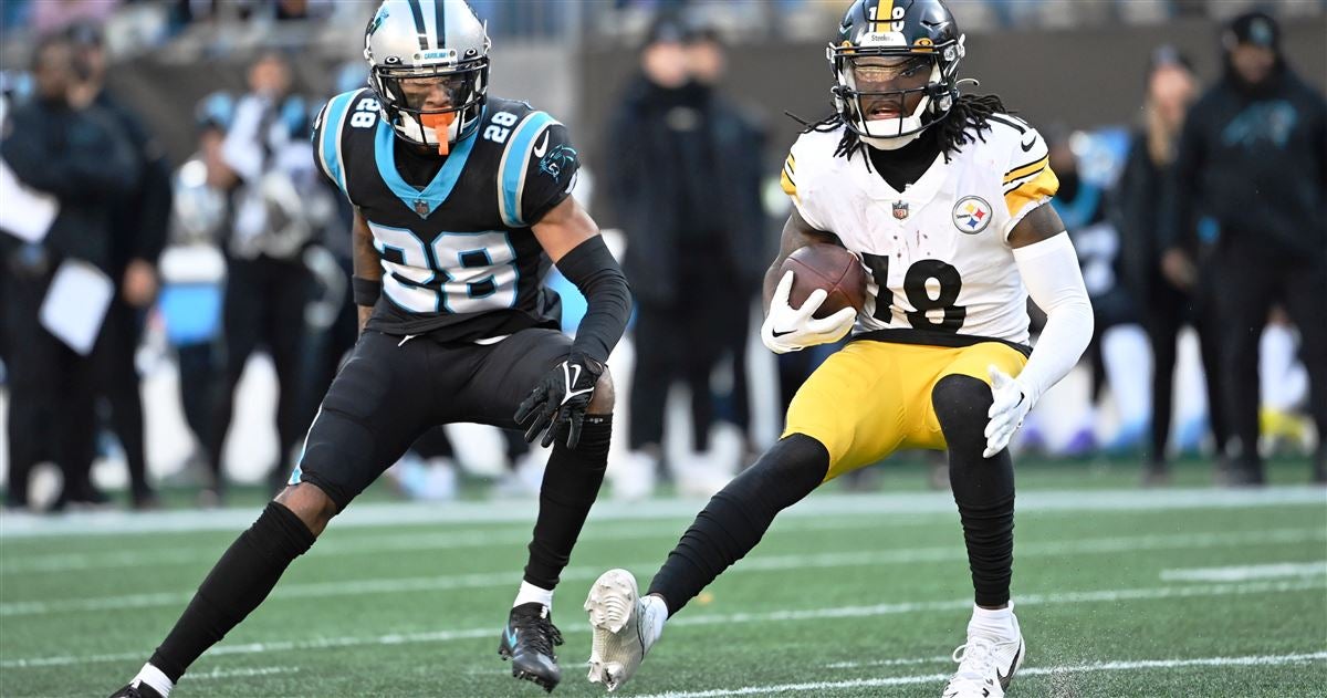 Wolf's Eye View: Steelers-Panthers