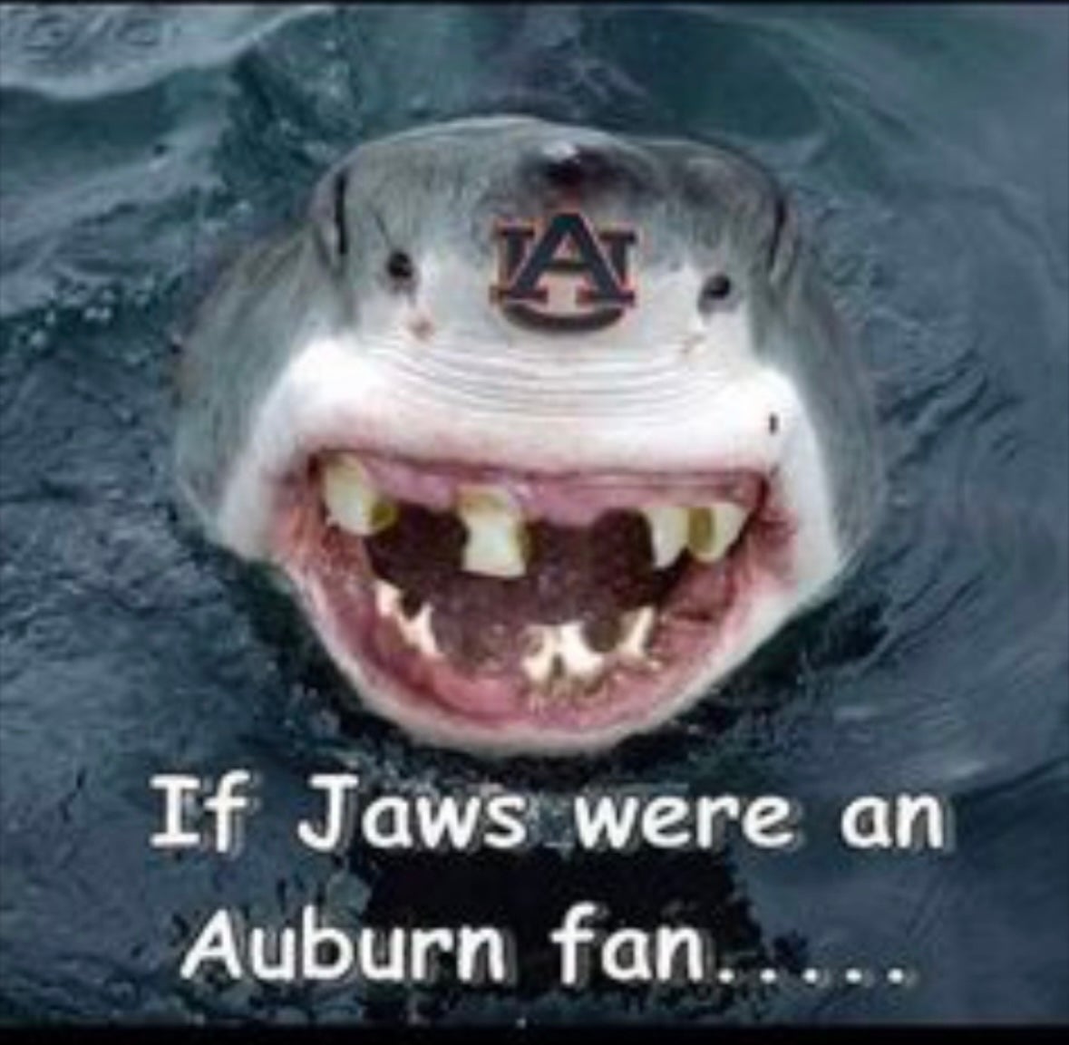 And in other News…..