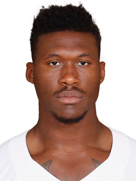 David Irving Profile Photos