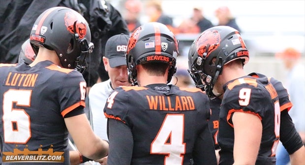 Player Capsule: Aidan Willard