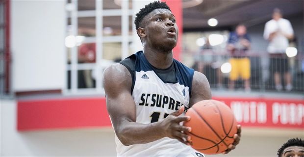 Zion Williamson, Spartanburg Day School, Small Forward