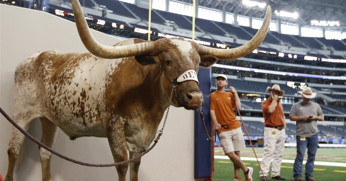 Texas gives first look at Bevo XV