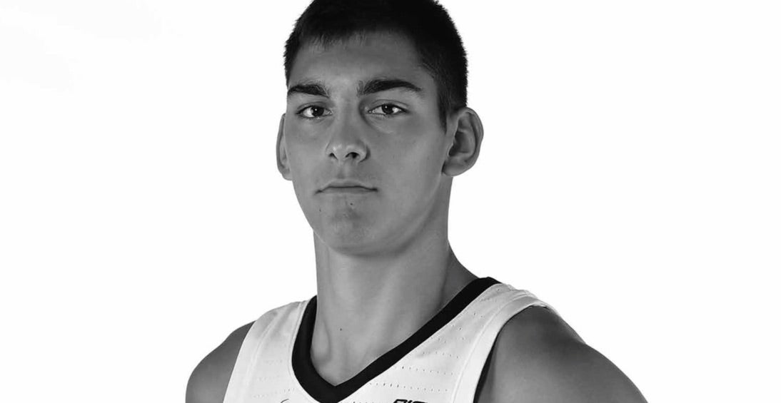 Villanova's Dylan Painter to Transfer