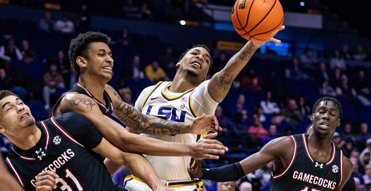 Getting to know LSU's 2025-26 men's basketball roster