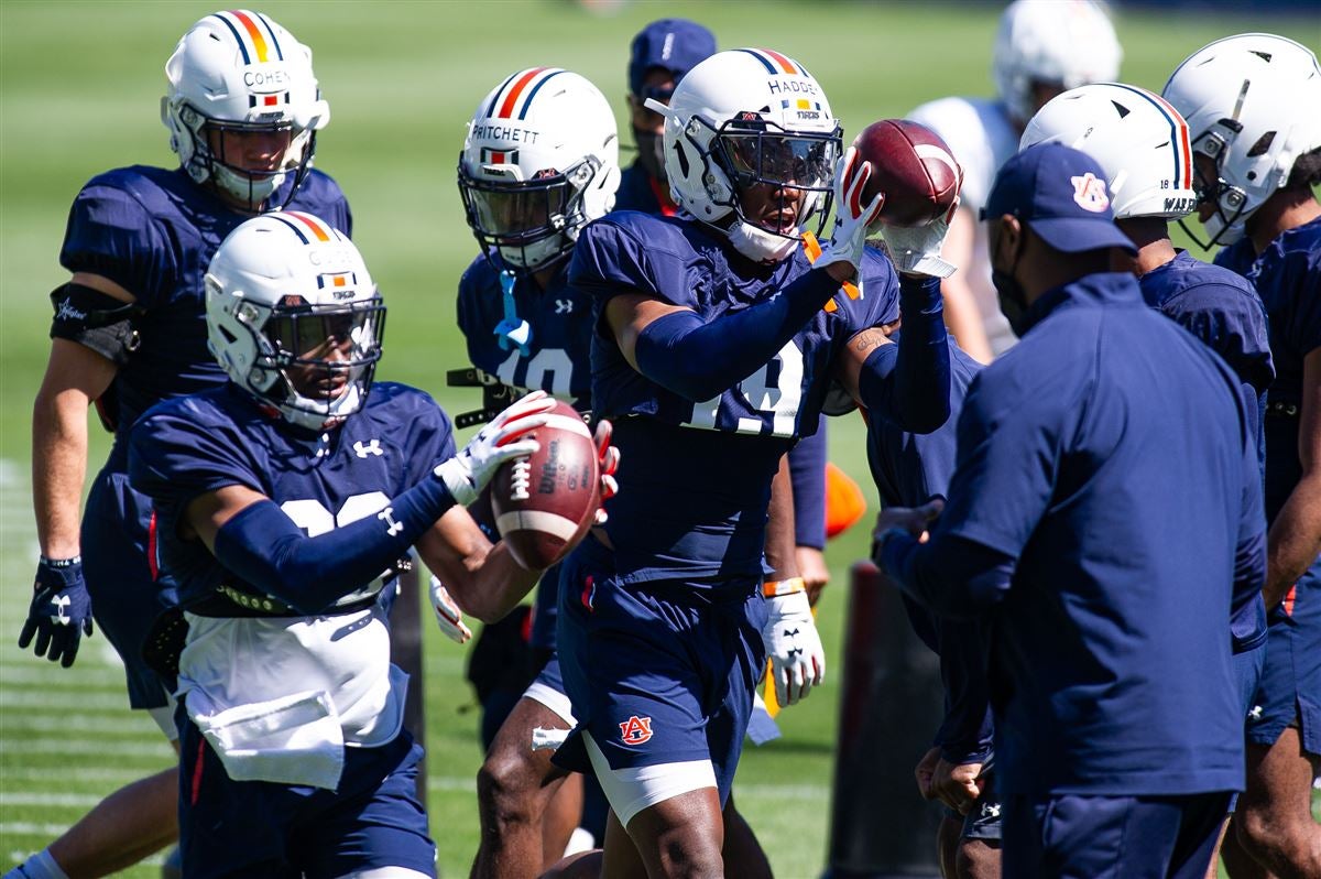 IN PHOTOS: Auburn defensive players from open practice