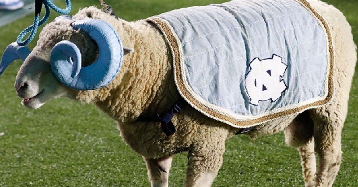 Staff Pix: Stanford at UNC