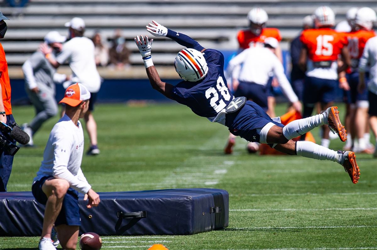 IN PHOTOS: Auburn defensive players from open practice