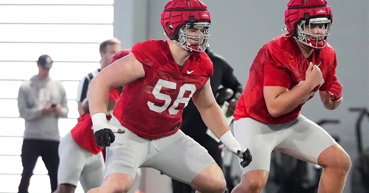 Gabe Van Sickle is a young OL on the rise for Ohio State