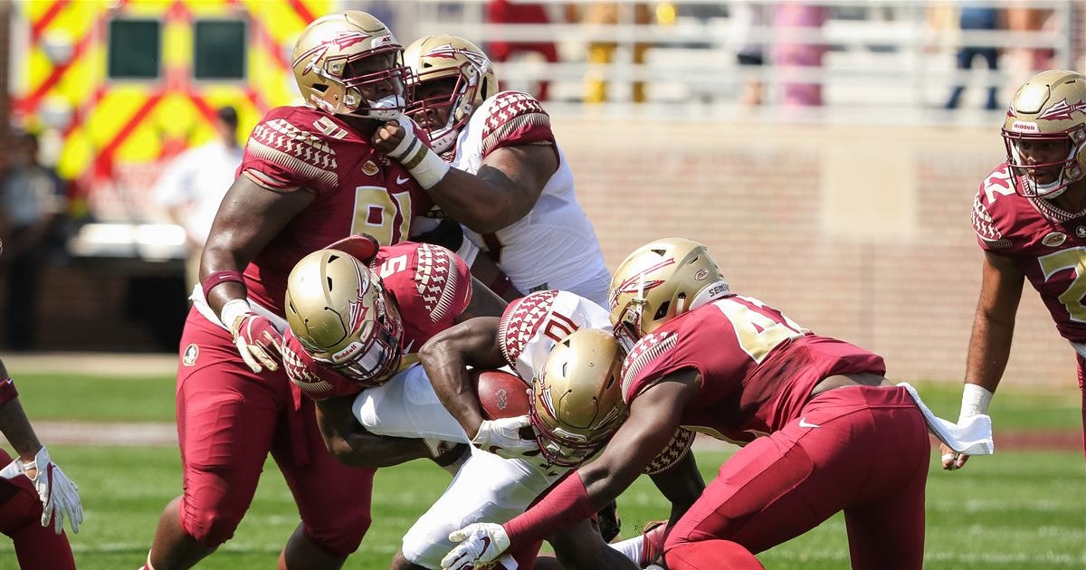 FSU spring football exit interview: The Linebackers