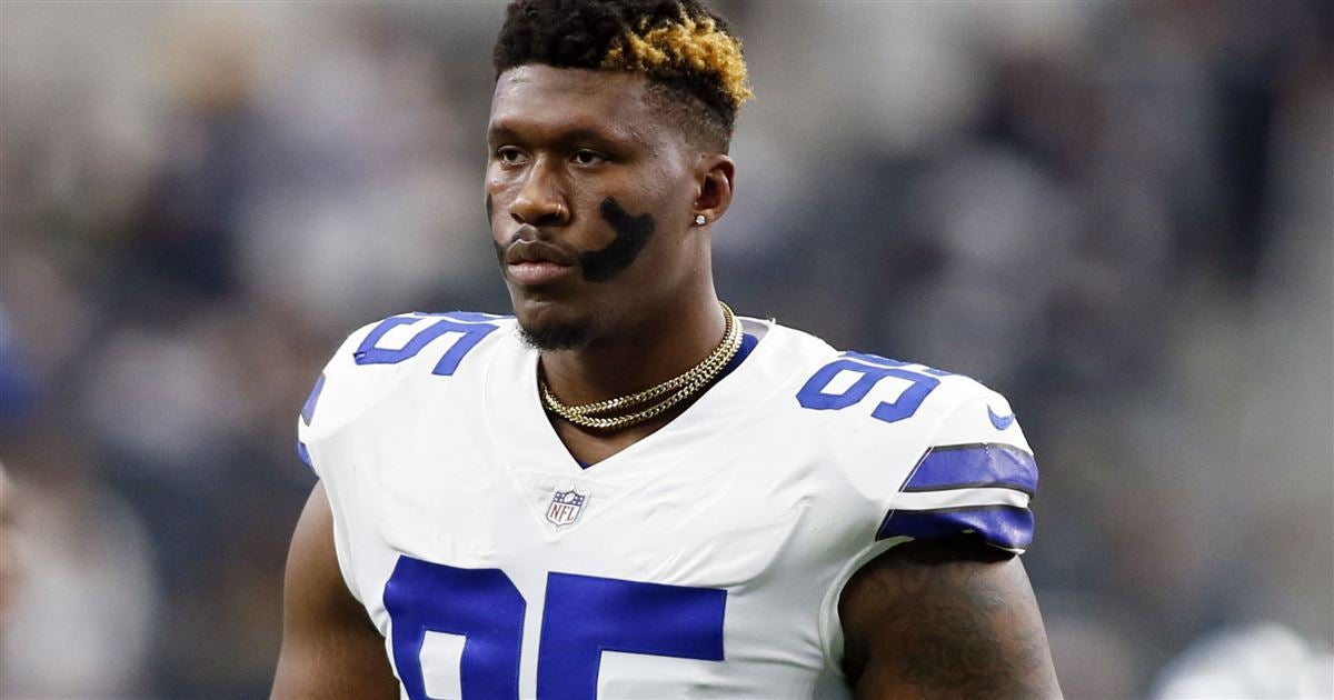David Irving seeks peace after being granted custody of daughter