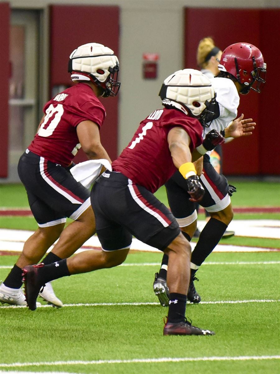 Bobo: 'He has a chance to be a special back'