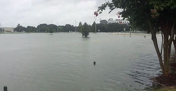 LSU staff affected by flooding