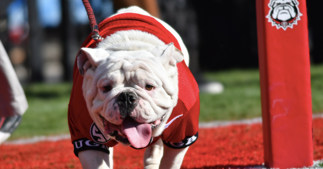 PETA calls for removal of Uga as Georgia's live mascot