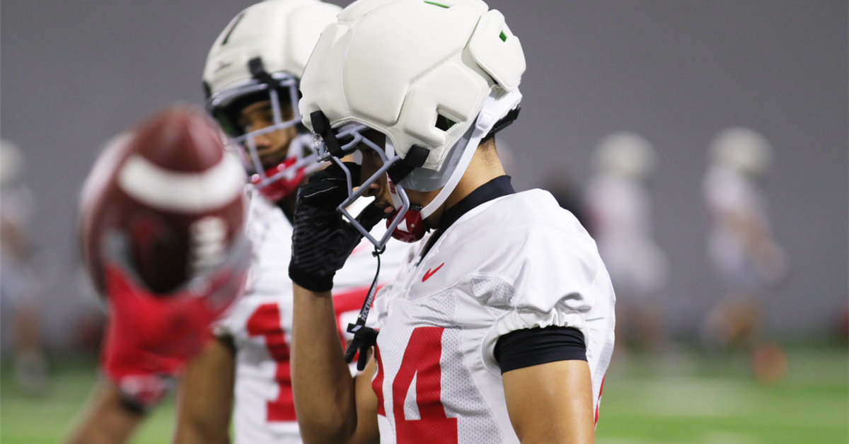 Dominick Kelly one of pleasant surprises during OSU's spring practices ...