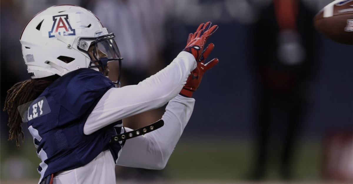 Top 30 most important Arizona football players for 2025: No. 23 Javin ...