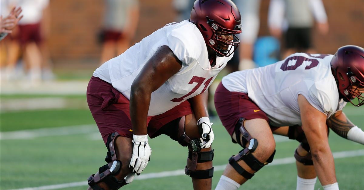 Minnesota Football offensive lineman Martes Lewis enters the transfer ...