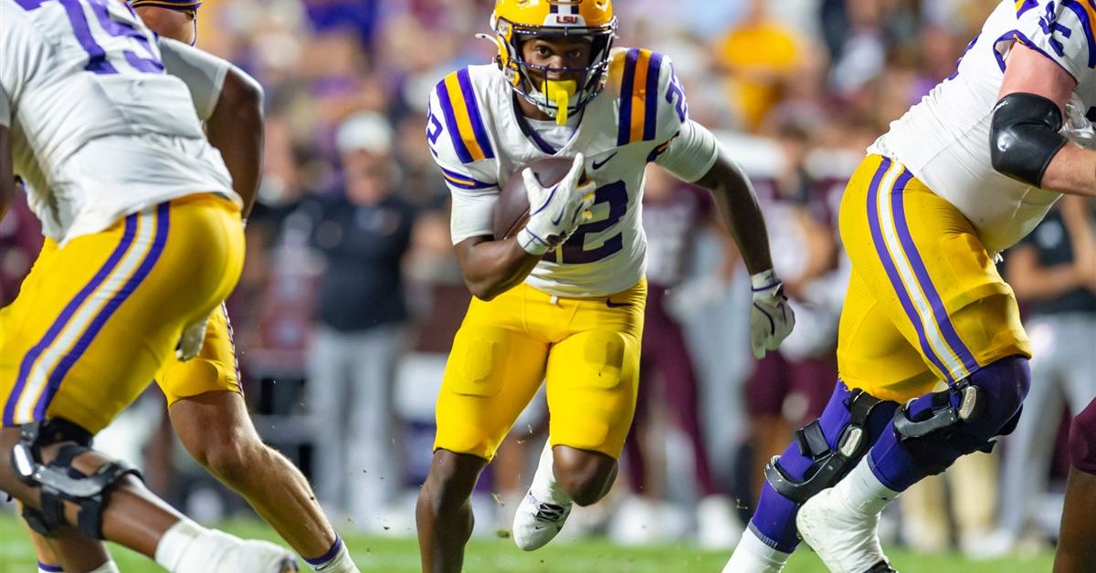 LSU football post transfer portal depth chart 2026