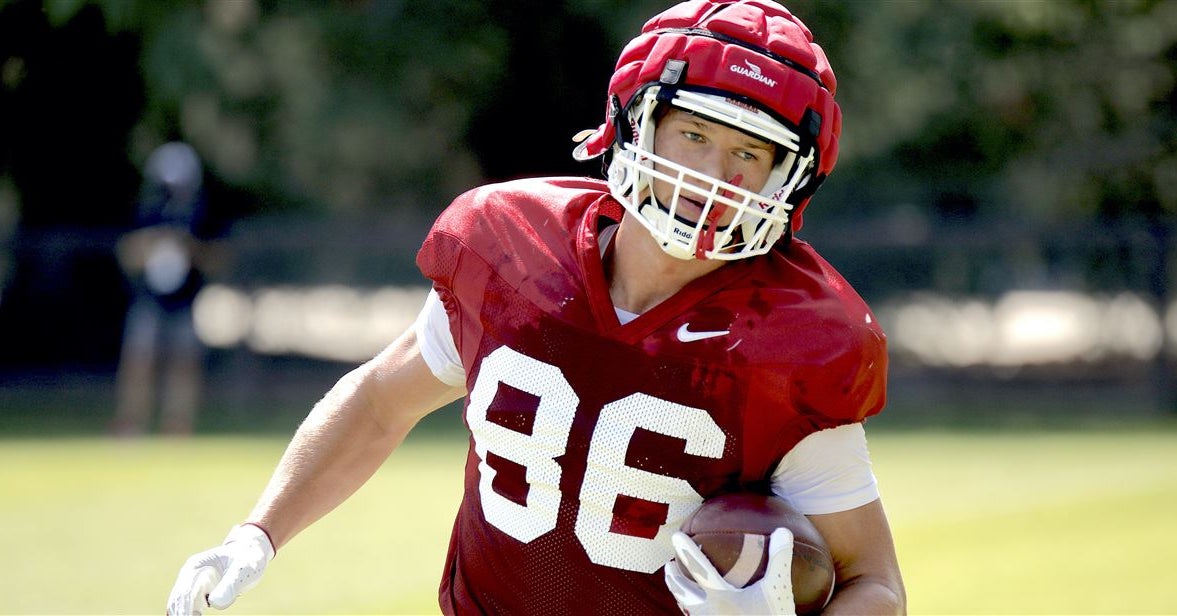 Highlights of Chicago Bears draft pick Sam Roush