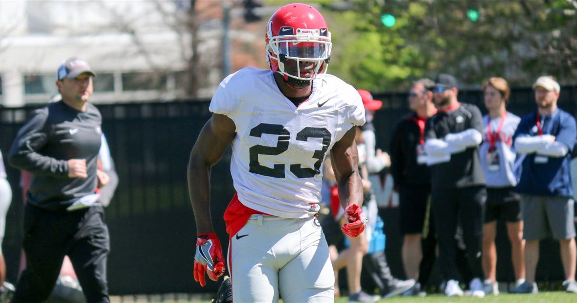 UGA defense expected to 'count on' Mark Webb