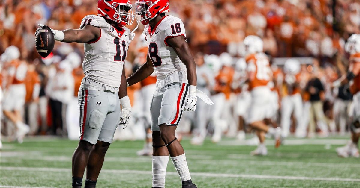 Georgia linebacker Chris Cole 'has improved immensely' during freshman year