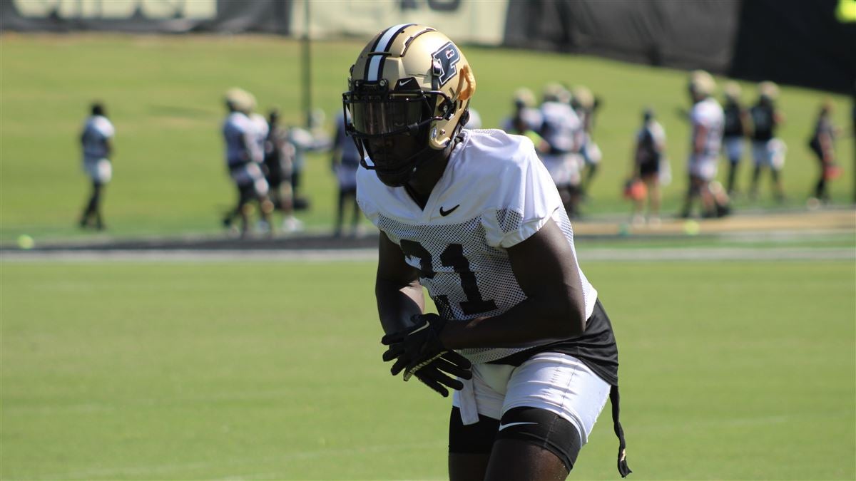Purdue safeties Sanoussi Kane, Cameron Allen and Dillon Thieneman on ...