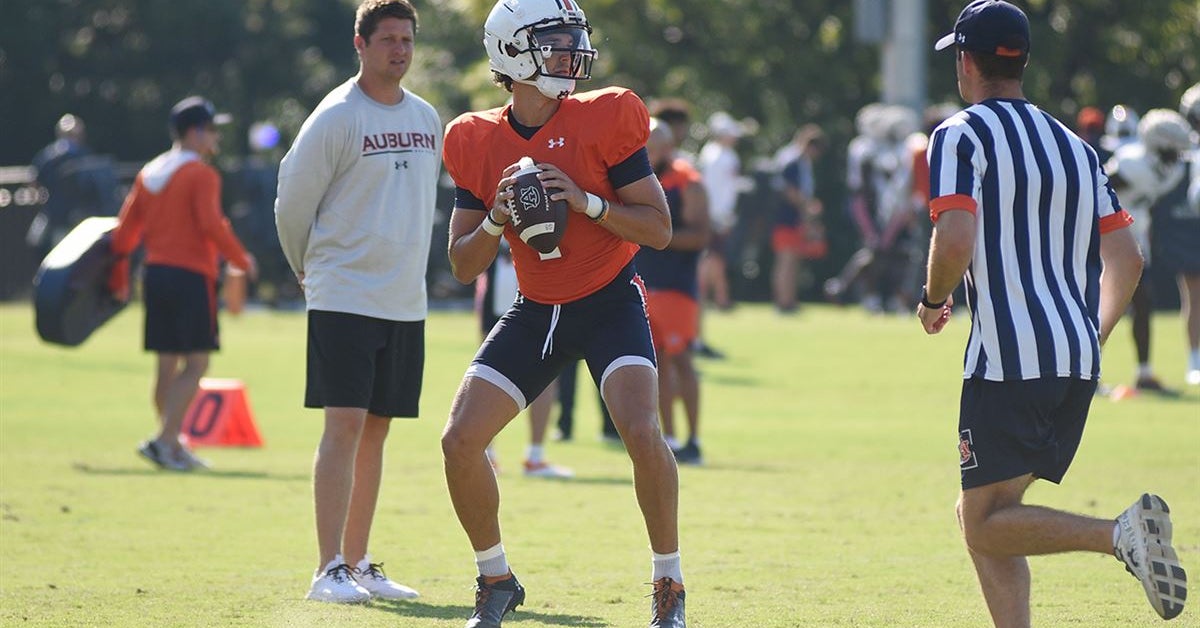 VIDEO: Highlights of QB Payton Thorne after being named the starter