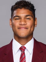 C.J. Williams, Wisconsin, Wide Receiver